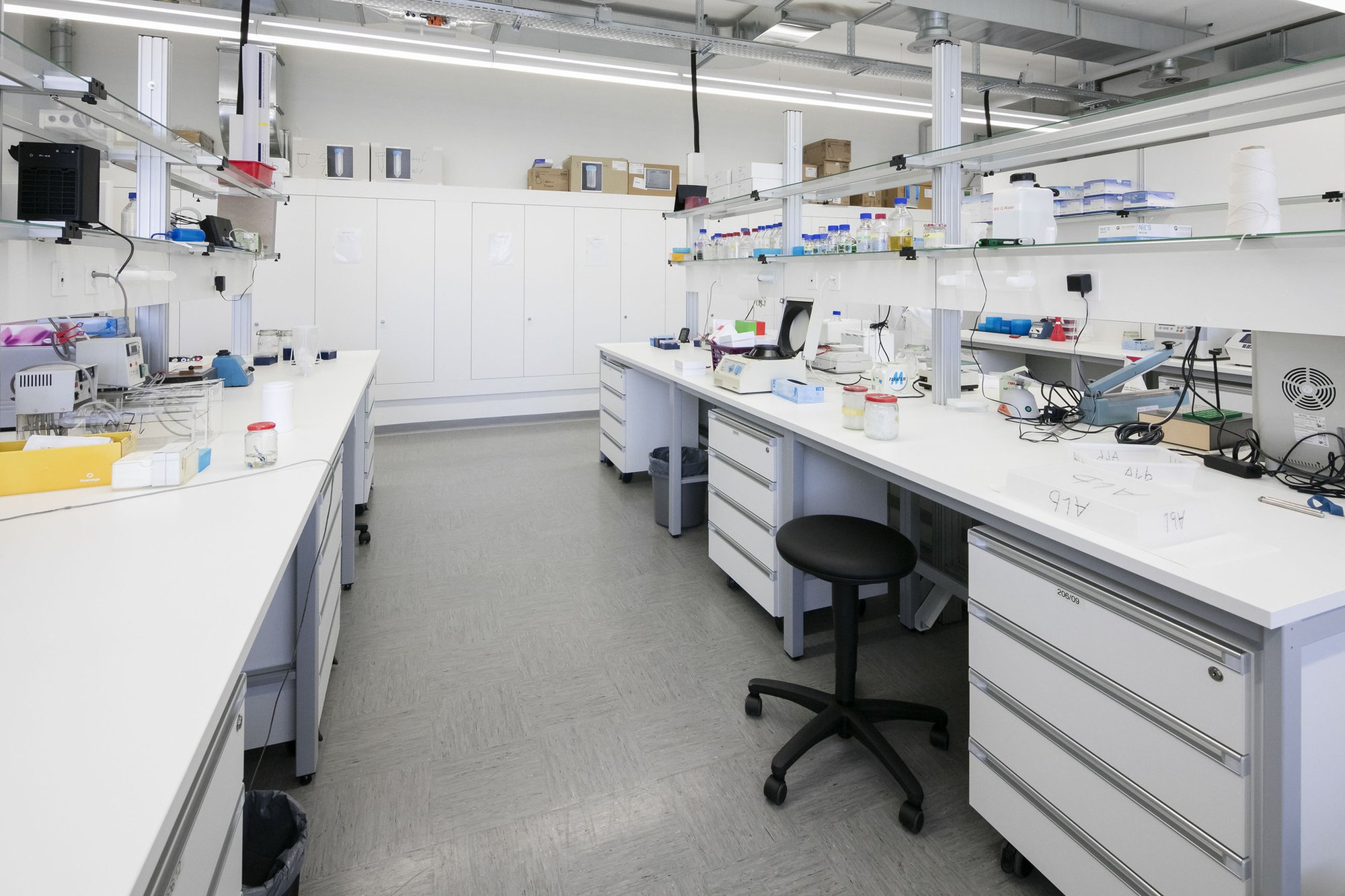 Institut für Biochemie und Molekulare Medizin (IBMM) der Universität ...